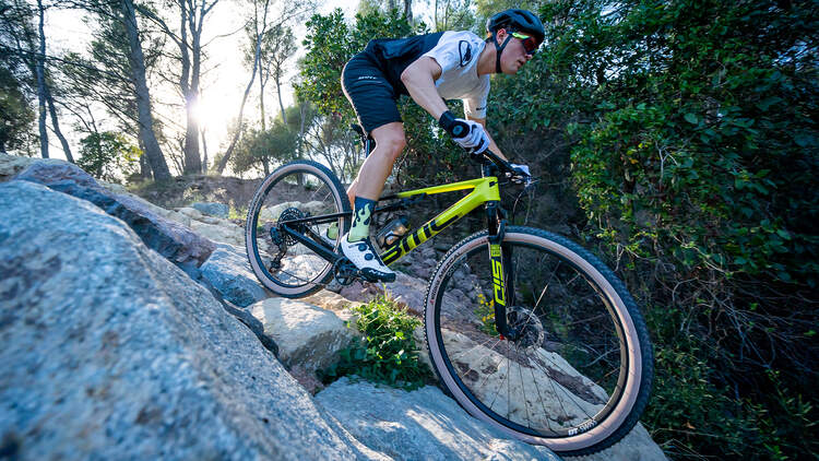 BMC Fourstroke: Update des Schweizer Racebike | bike-x.de