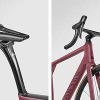 Canyon: Neues Endurace CFR und CF SLX - schnell und komfortabel sind ...