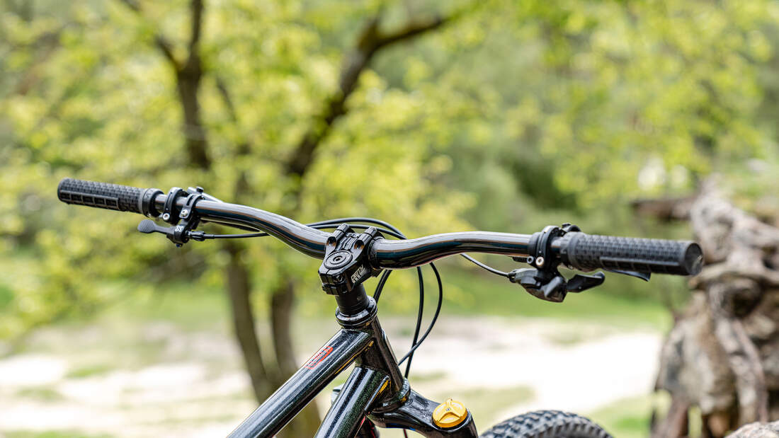 Marin EL Roy im Einzeltest (2022) | bike-x.de
