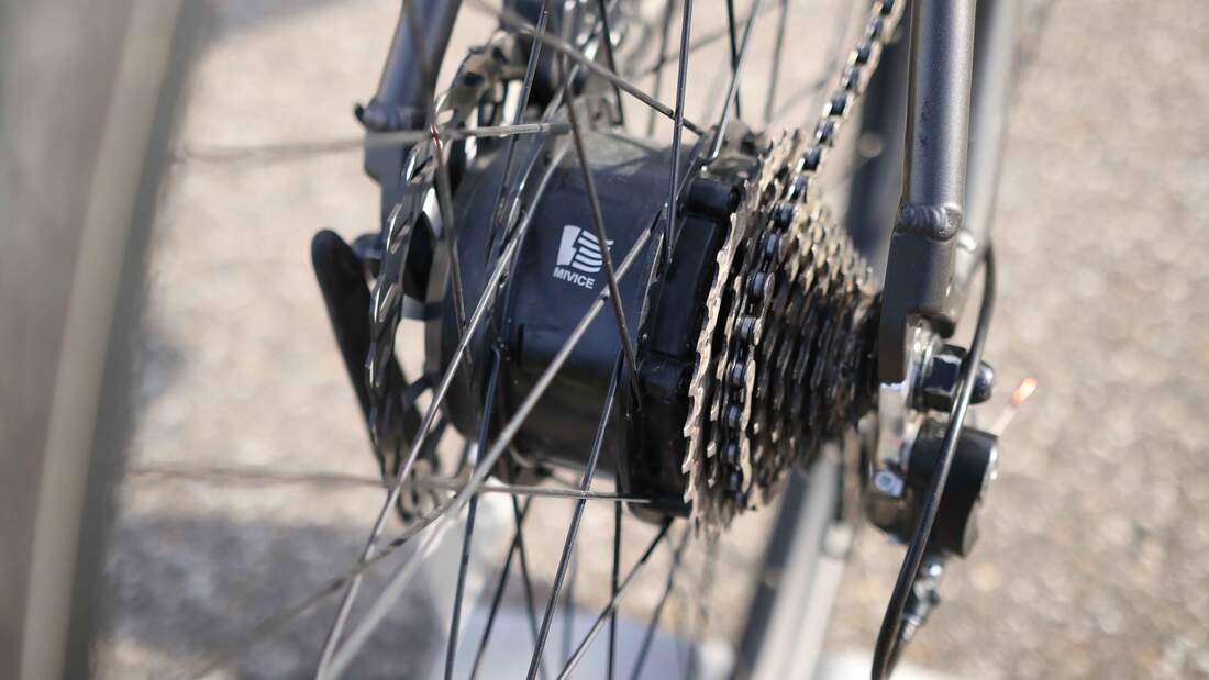 Java Frenetica im Elektrobike-Test 2023 | bike-x.de