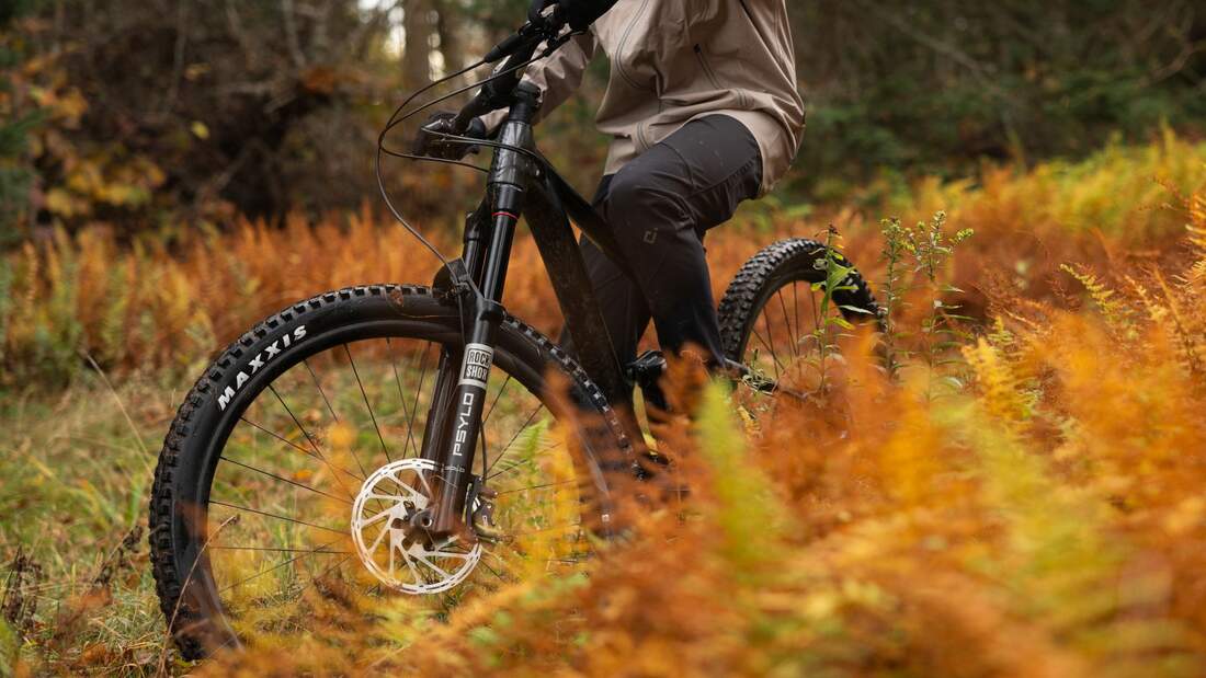 Psylo und Domain - die neue Einsteigergabeln von Rock Shox | bike-x.de
