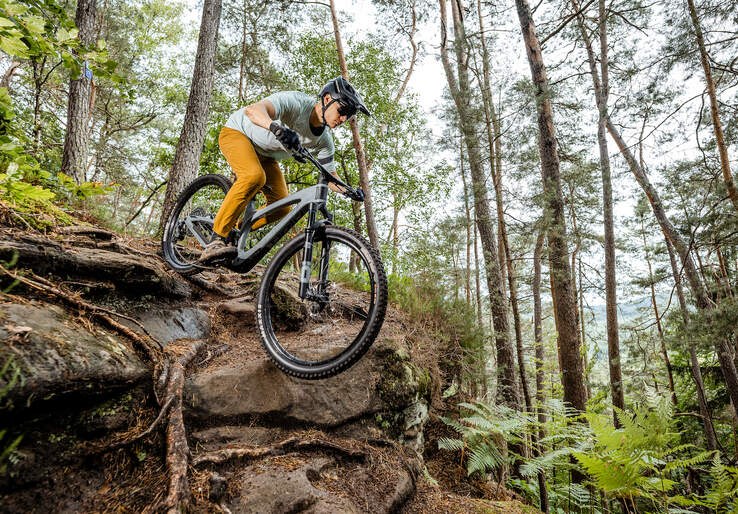 Das sind die besten Mountainbikes 2024! | bike-x.de