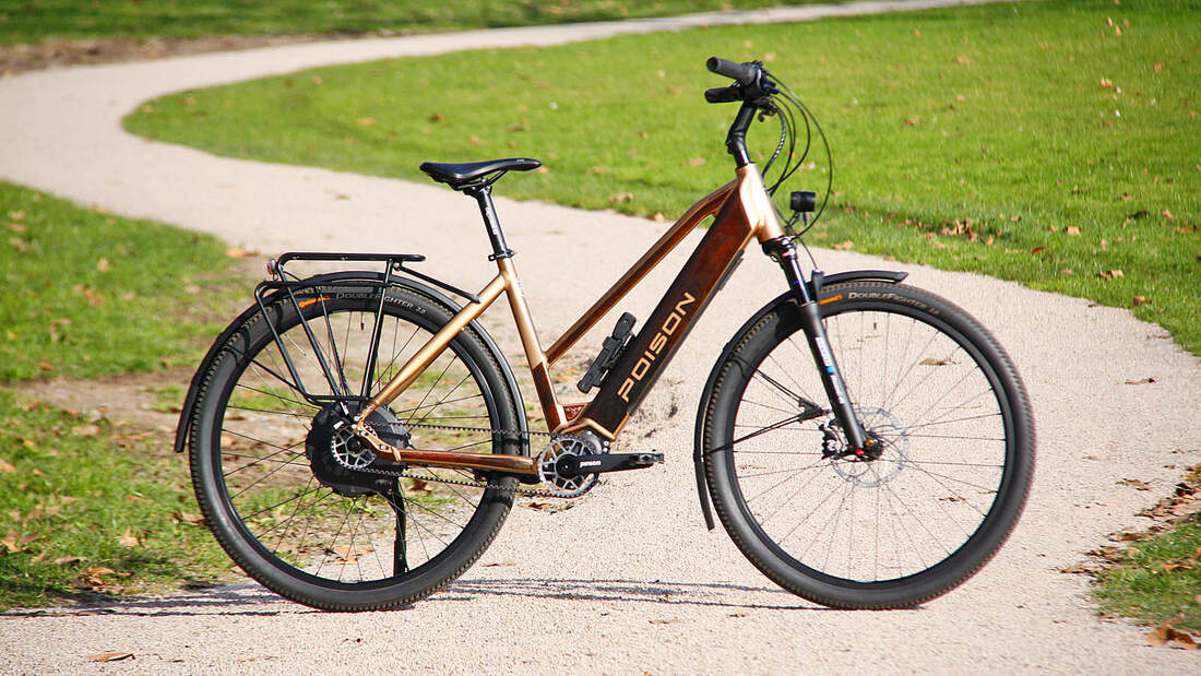 Poison Arsen: Komfort-Tourer mit Neodrives & Pinion im Test | bike-x.de