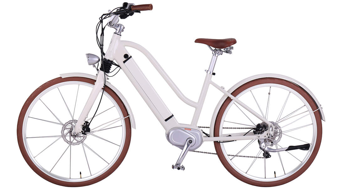 E Bike Retro Damen