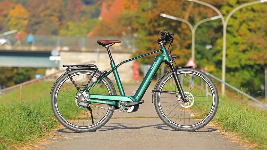 Kettler Quadriga Pro Belt Automatic im Elektrobike-Test 2023 | bike-x.de
